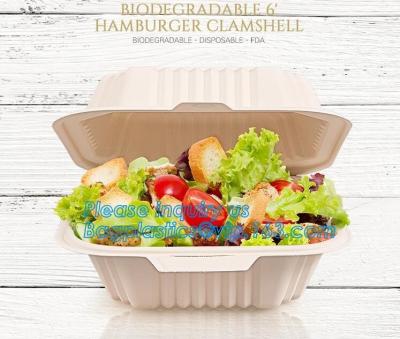 Cina Tableware Bagasse Plate Bagasse Containers Bagasse Clamshell Bagasse Tray Bagasse Cup Bagasse Lids Bagasse Cutle in vendita