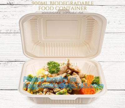 Cina Tableware Bagasse Plate Bagasse Containers Bagasse Clamshell Bagasse Tray Bagasse Cup Bagasse Lids Bagasse Cutle in vendita