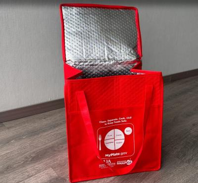 Cina Sacchetto isolante da portare fuori Logo personalizzato Grande congelatore pesante Ristorante isolato riscaldato Sacchetto da consegna alimentare extra grande in vendita