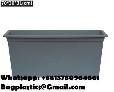 Cina Fabbrica di fiori Fabbrica di piante Fabbrica di piante Fabbrica di piante Fabbrica di piante Fabbrica di piante Fabbrica di piante Fabbrica di piante Fabbrica di piante Fabbrica di piante Fabbrica di piante Fabbrica di piante Fabbrica di piante Fabbrica di piante Fabbrica di piante Fabbrica di piante Fabbrica di piante Fabbrica di piante Fabbrica di piante Fabbrica di piante Fabbrica di piante Fabbrica di piante Fabbrica di piante Fabbrica di piante Fabbrica di piante Fabbrica di piante Fabbric in vendita