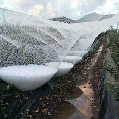 China Anti Hail Net Agriculture Mesh HDPE Apple Tree Garden Hail Proof Netting Polyethylene Cheap Price Hail Guard Net Car Hail Protection Net Anti-Insect Hail Netting for Agricultural Apple Trees for sale