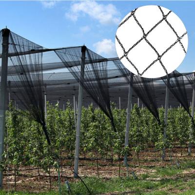 China Anti Hail Net Agriculture Mesh HDPE Apple Tree Garden Hail Proof Netting Polyethylene Cheap Price Hail Guard Net Car Hail Protection Net Anti-Insect Hail Netting for Agricultural Apple Trees for sale
