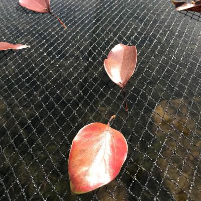 China Anti Hail Net Agriculture Mesh HDPE Apple Tree Garden Hail Proof Netting Polyethylene Cheap Price Hail Guard Net Car Hail Protection Net Anti-Insect Hail Netting for Agricultural Apple Trees for sale