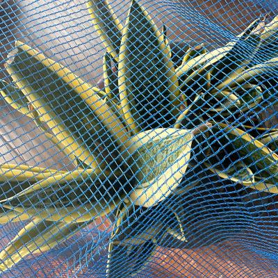 China Anti Hail Net Agriculture Mesh HDPE Apple Tree Garden Hail Proof Netting Polyethylene Cheap Price Hail Guard Net Car Hail Protection Net Anti-Insect Hail Netting for Agricultural Apple Trees for sale