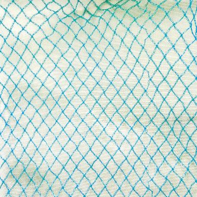 China Anti Hail Net Agriculture Mesh HDPE Apple Tree Garden Hail Proof Netting Polyethylene Cheap Price Hail Guard Net Car Hail Protection Net Anti-Insect Hail Netting for Agricultural Apple Trees for sale