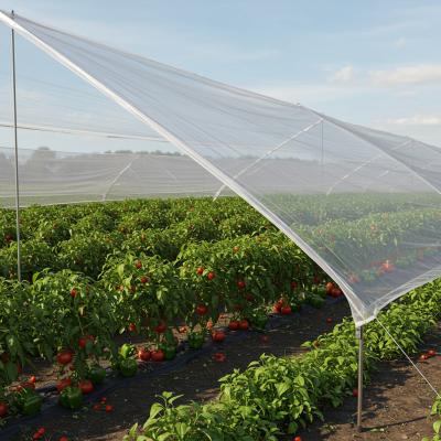 China Anti Hail Net Agriculture Mesh HDPE Apple Tree Garden Hail Proof Netting Polyethylene Cheap Price Hail Guard Net Car Hail Protection Net Anti-Insect Hail Netting for Agricultural Apple Trees for sale