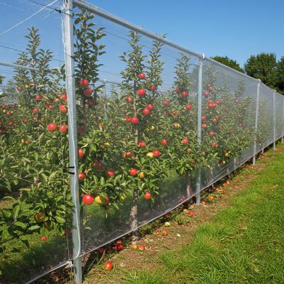 China Anti Hail Net Agriculture Mesh HDPE Apple Tree Garden Hail Proof Netting Polyethylene Cheap Price Hail Guard Net Car Hail Protection Net Anti-Insect Hail Netting for Agricultural Apple Trees for sale