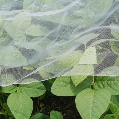 China Garden Netting, Plant Covers 10x33Ft Net Ultra Fine Mesh Protection Netting For Vegetable Plants Fruits Flowers Crops Greenhouse Row Cover Raised Bed Barrier Screen Protection Net Cover for sale
