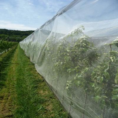 Cina Rete da Giardino, Coperture per Piante 10x33Ft Rete a Maglia Ultra Fine Rete di Protezione per Piante di Ortaggi Frutta Fiori Colture Serra Copertura per Fila Letto Rialzato Barriera Schermo Copertura Protettiva in vendita