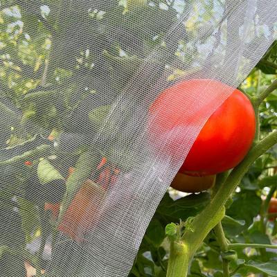China Garden Netting, Plant Covers 10x33Ft Net Ultra Fine Mesh Protection Netting For Vegetable Plants Fruits Flowers Crops Greenhouse Row Cover Raised Bed Barrier Screen Protection Net Cover for sale