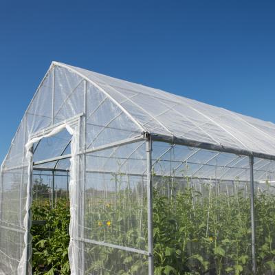 China Garden Netting, Plant Covers 10x33Ft Net Ultra Fine Mesh Protection Netting For Vegetable Plants Fruits Flowers Crops Greenhouse Row Cover Raised Bed Barrier Screen Protection Net Cover for sale