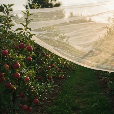 China Garden Netting, Plant Covers 10x33Ft Net Ultra Fine Mesh Protection Netting For Vegetable Plants Fruits Flowers Crops Greenhouse Row Cover Raised Bed Barrier Screen Protection Net Cover for sale