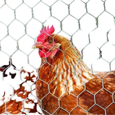 China Wire, Steel Wire Mesh Roll, Versatile And Durable Garden Netting, Essential Galvanized PVC-Coated Hexagonal Chicken Wire Mesh Low Price Bulk Poultry Farm Roll Wire Welded Wire Mesh Processing Service for sale