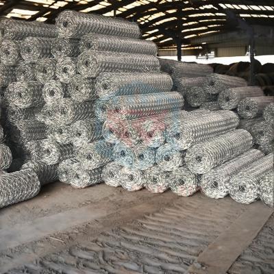 China Wire, Steel Wire Mesh Roll, Versatile And Durable Garden Netting, Essential Galvanized PVC-Coated Hexagonal Chicken Wire Mesh Low Price Bulk Poultry Farm Roll Wire Welded Wire Mesh Processing Service for sale