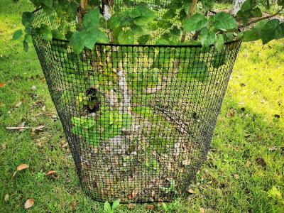 China Plastic Hardware Mesh Netting, Garden Netting, Temporary Fence, Tree Guards, Safety Net For Balcony, Deck, Stair Railing, Animal Barrier, Poultry, Deer, With 50 Zip Ties for sale