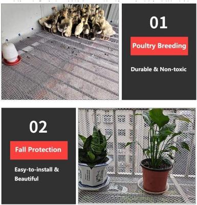 China Chicken Wire Fencing Mesh Plastic With Zip Ties, 1.3×10FT Garden Netting For Moss Poles, Plastic Chicken Wire For Poultry Rabbit Fencing,Crafts,DIY - Black for sale