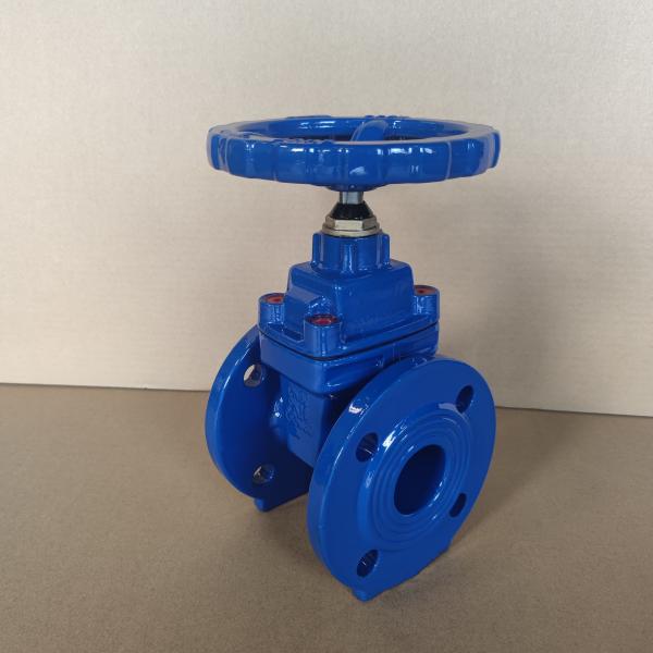 Quality Water Media Manual Pn16 Rubber Disc Gate Valve for Manual Operation Pressure for sale