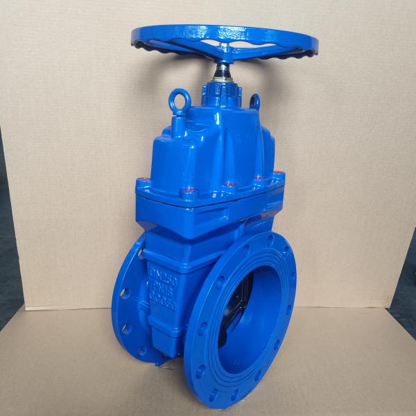 Quality CUSTOMIZED Port Size Water System Bellow Seal Gate Valve for Drainage Installati for sale