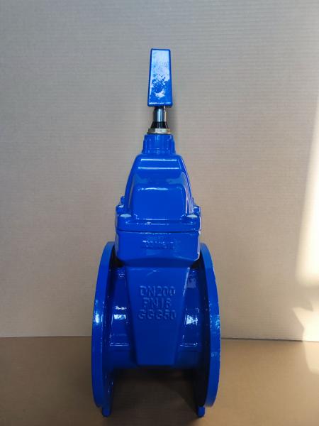 Quality Industry Water Valve Resilient Seat Soft Flange Water Control Cast Iron Gate for sale
