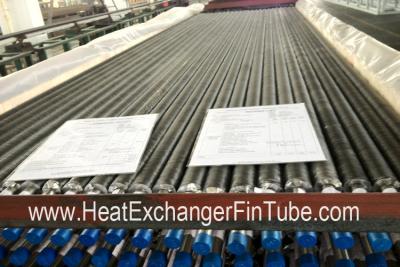 China TP316 / 316L SMLS Stainless Steel  Air Cooling finned Tube / pipe for sale
