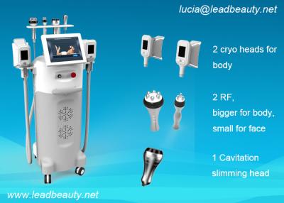 China -15℃ cooling Beauty Fat Reduce Cryolipolysis Slimming Machine/Cryo machine for sale