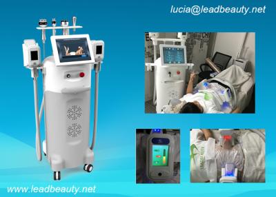 China 5 heads Body weight loss fat freezing equipment / Cryo therapy fat reduction machine for sale