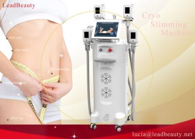 China -15℃-5℃ cooling temperature coolsculpt Slimming machine with 12 inch touch colored screen for sale