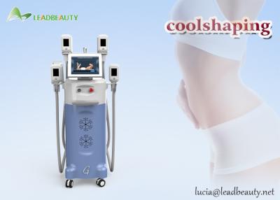 China 2-3cm fat reduction Cryolipolysis slimming machine / 4 working heads fat freezing / 12 hours non-stop working slimming for sale