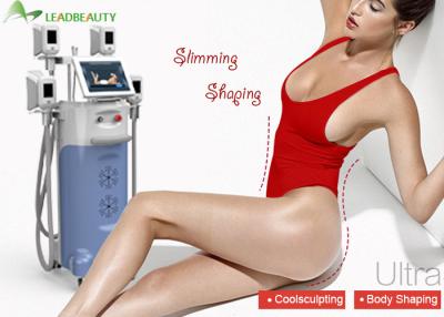 China Fat freeze weight loss body sculpting portable cryolipolysis slimming slim machine for sale