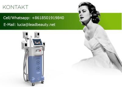 China Cryolipolysis Fat Freeze Slimming Machine For Fat Reducing With 1000W Output Power for sale