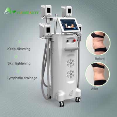 China Cryolipolysis Fat Freeze Slimming Machine For Fat Reducing With 1000W Output Power for sale