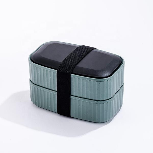 Quality Take Away Lunch Box Food Grade Banana Leaf Design Black Plastic BPA Free Double for sale