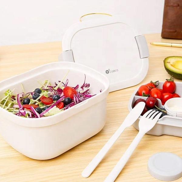 Quality PP Plastic Type Custom Large Capacity Food Container Kids Bento Snack Box for for sale