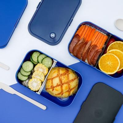 China Food Container Feature Microwavable 2-Layer 1000-2000 ml Lunchbox for Adults and Kids for sale
