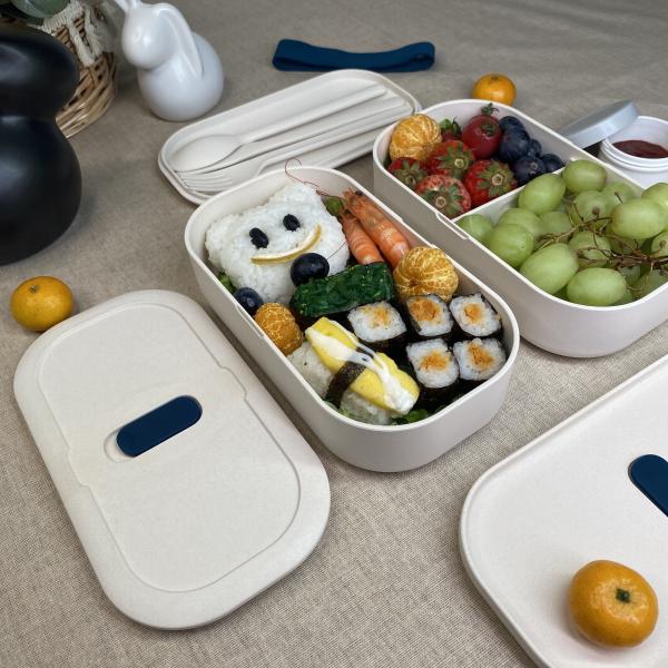 Quality Dual Tier Leak Proof High Capacity Kids Bento Box with Cutlery TF109 for sale