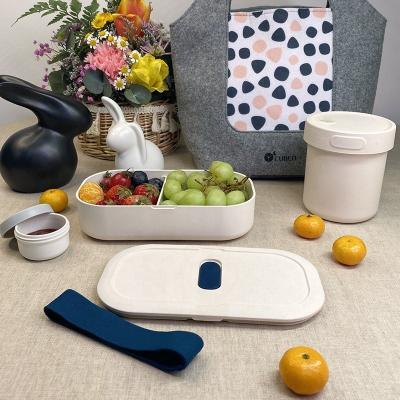 China Household Microwave Safe Lunch Box with Fresh-Keeping Function and Eco-Friendly Design for sale