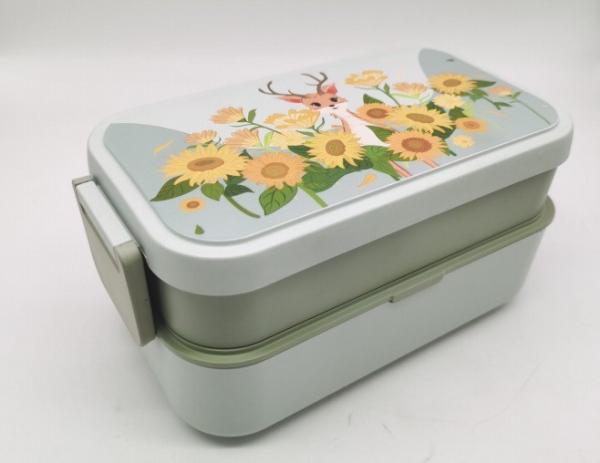 Quality Leak Proof Nestable Design Customized Logo Color Box Lunch Box Set for Adult and for sale