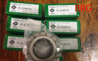 China INA F-16882.RLF Cylindrical Roller Bearing F-202808.3 3 Printing Machine Bearings for sale