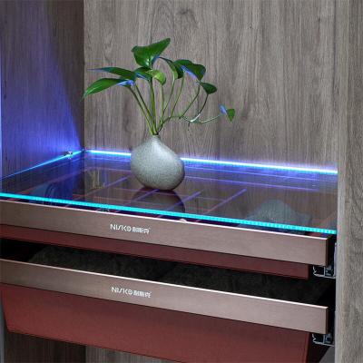 China Smart Glass Shelf Display Cabinet Led Light DC12v Automatically Light Up for sale