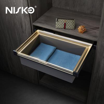 Cina Contenitore estraibile per armadio, cassetto porta abiti con luce LED in vendita