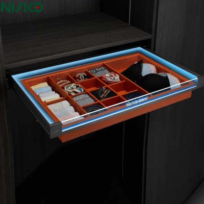 Cina Cassetto porta biancheria estraibile per guardaroba 600mm 900mm con luce LED in vendita