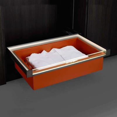 Cina Abbigliamento da togliere Armadio Abbigliamento Cesto Rack Pelle Tessitura Con Luce LED in vendita