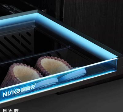 中国 キャビネット下靴オーガナイザー 引き出し式 2段 LEDライト付き 販売のため