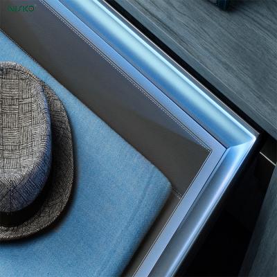 Cina Contenitore estraibile per armadio, cassetto porta abiti con luce LED in vendita