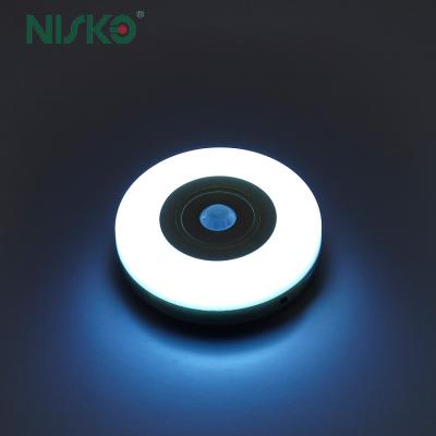 China Mini Wireless USB Cabinet Light PIR Motion Sensor Magnet Mounting Closet Night Lighting for sale