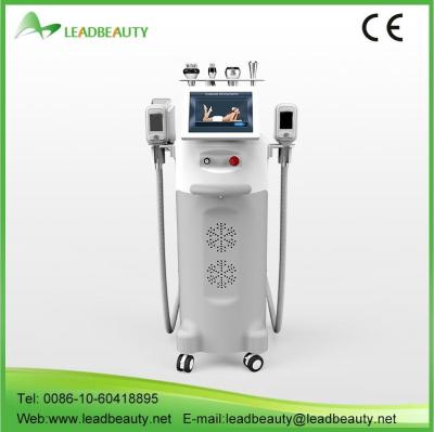China kryolipolysis slim freeze belt 5 treatment head fat loss machine for sale