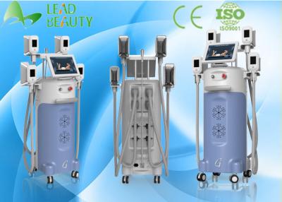 China Low price CE/FDA cryo Criolipolisis lipolysis body slimming machine for sale