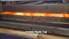 plastic tray