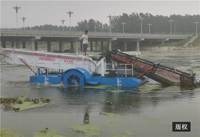 KD-WH100 Aquatic Grass Harvester