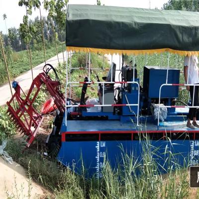 China 6000mm Length Amphibious Aquatic Plant Harvester 39kw with 2200R/min Changchai Engine for sale